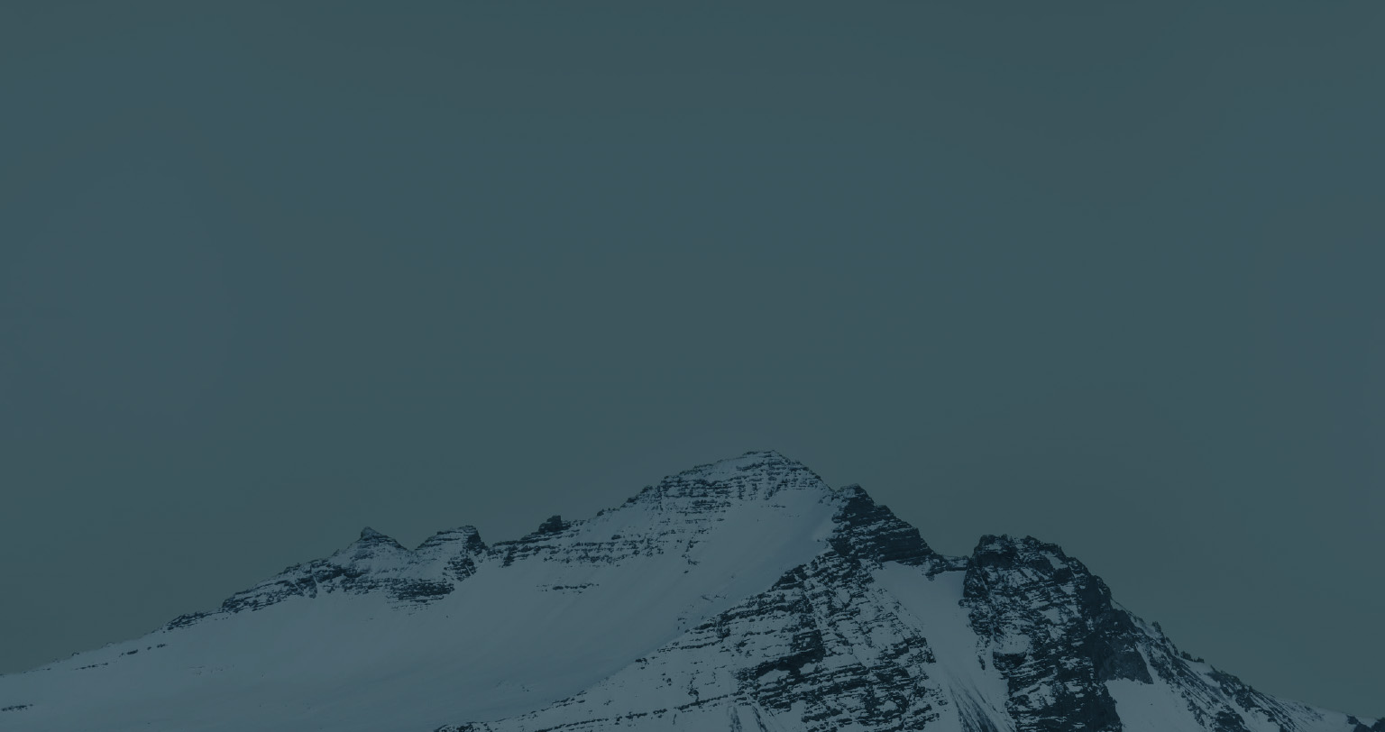 ¿Quiénes somos? | Pulsum